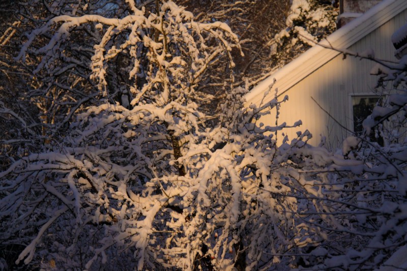 Talvikuvia – Anssi Kela – Virallinen sivusto